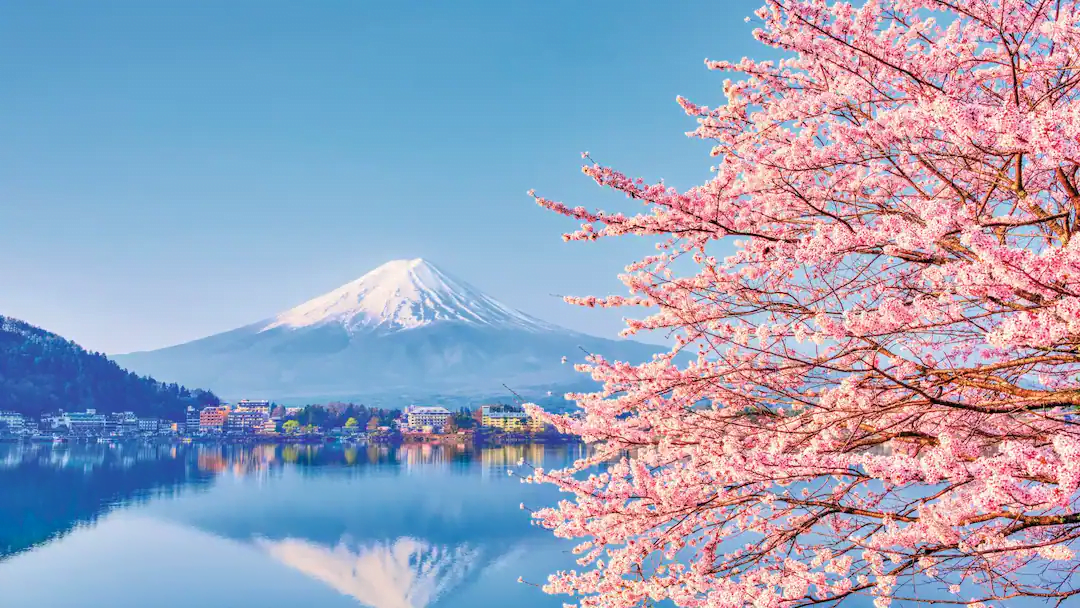 Traditions ⋆ Sugoi Japan